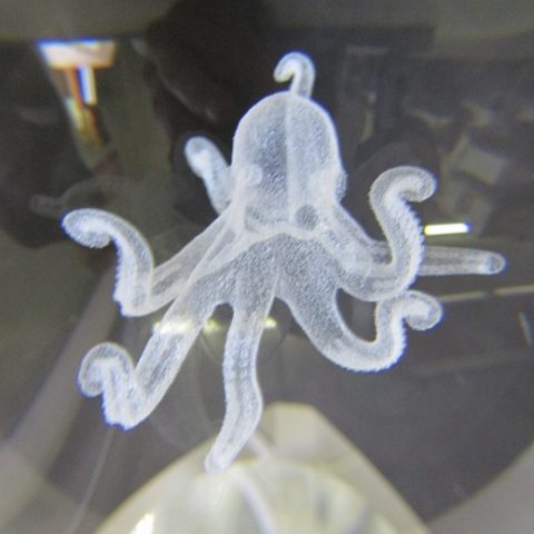 Crystal Ball – Octopus | IJK Optics and Sales